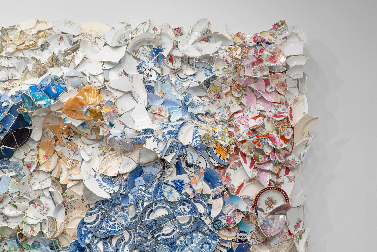 Portfolio — Delaina Doshi