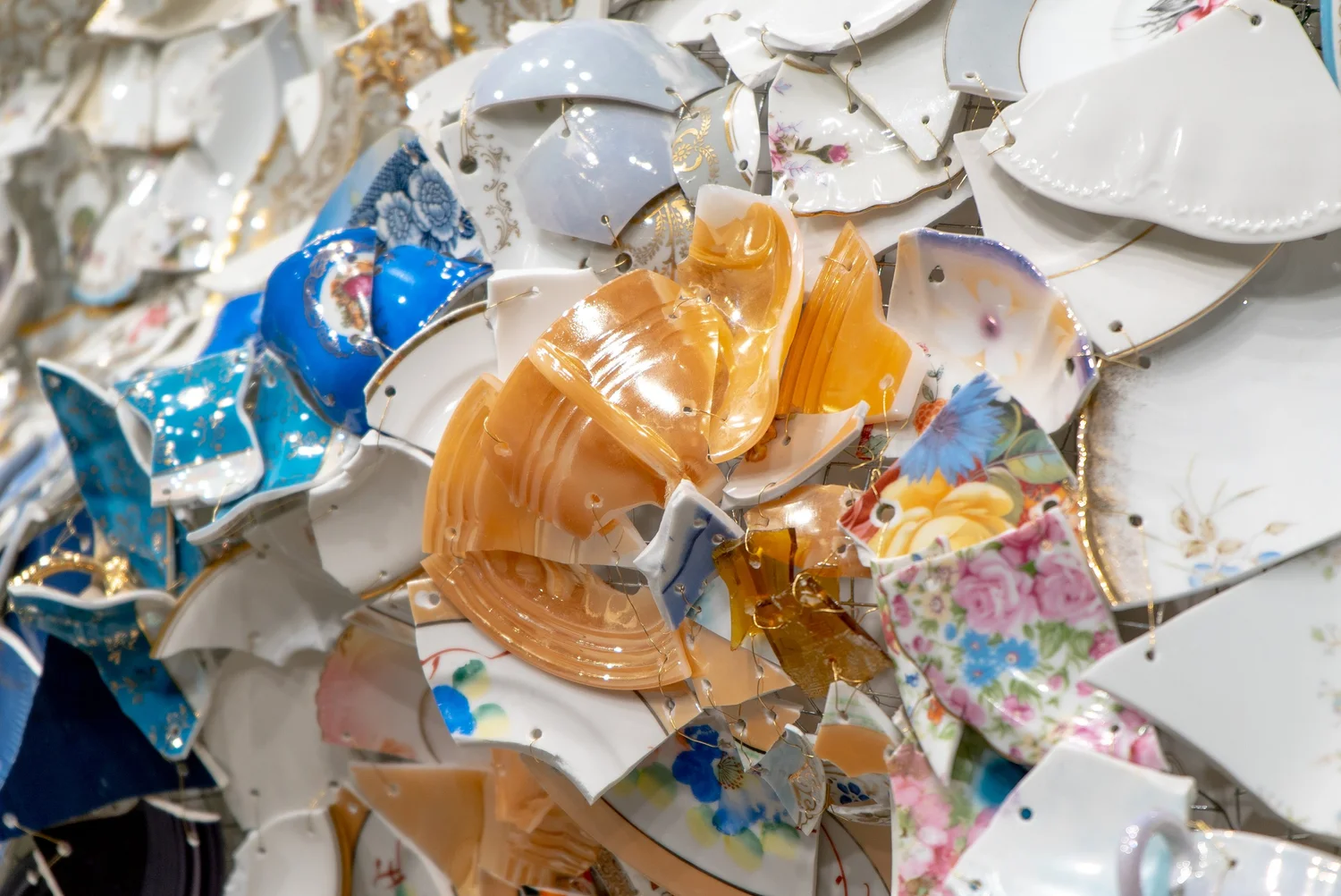 Portfolio — Delaina Doshi