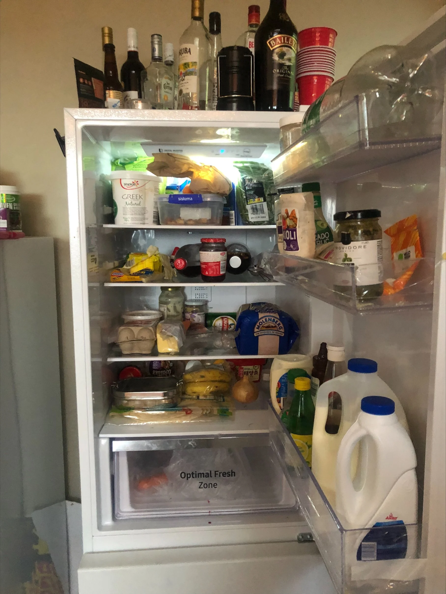 What the Fridge? | Massive Magazine