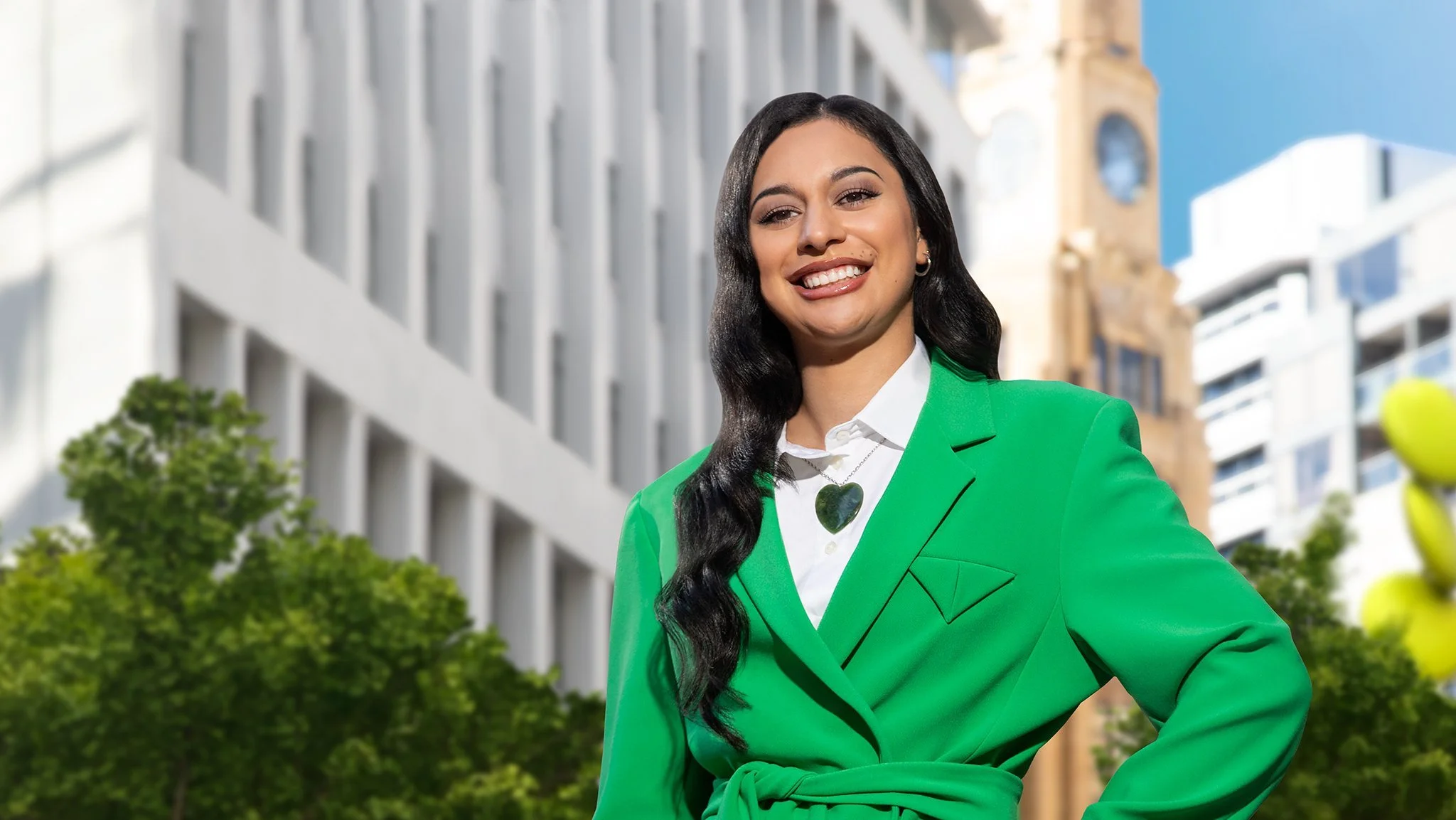 James Shaw out, Tamatha Paul in: Greens begin Wellington Central seat ...