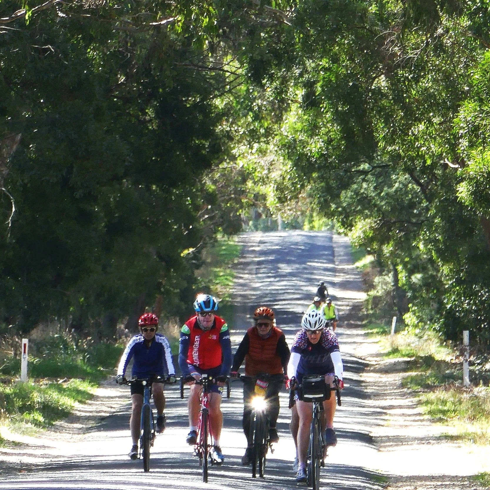 Goldfields & Spa Tour — Bespoke Cycle Tours