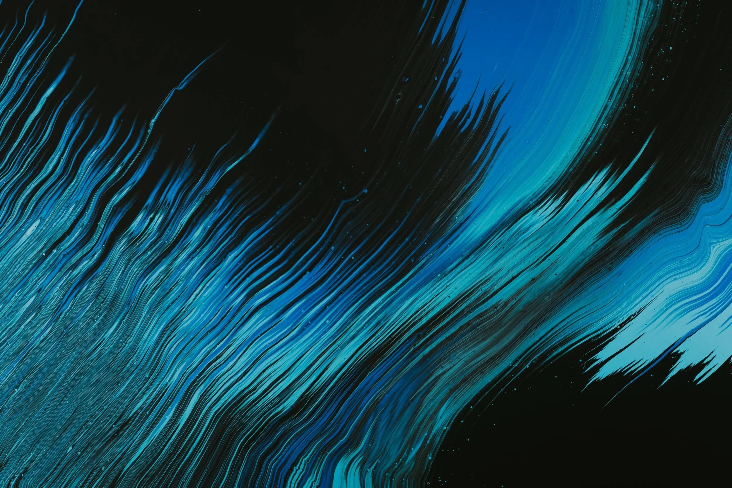 Local Losers- Studio/Gallery