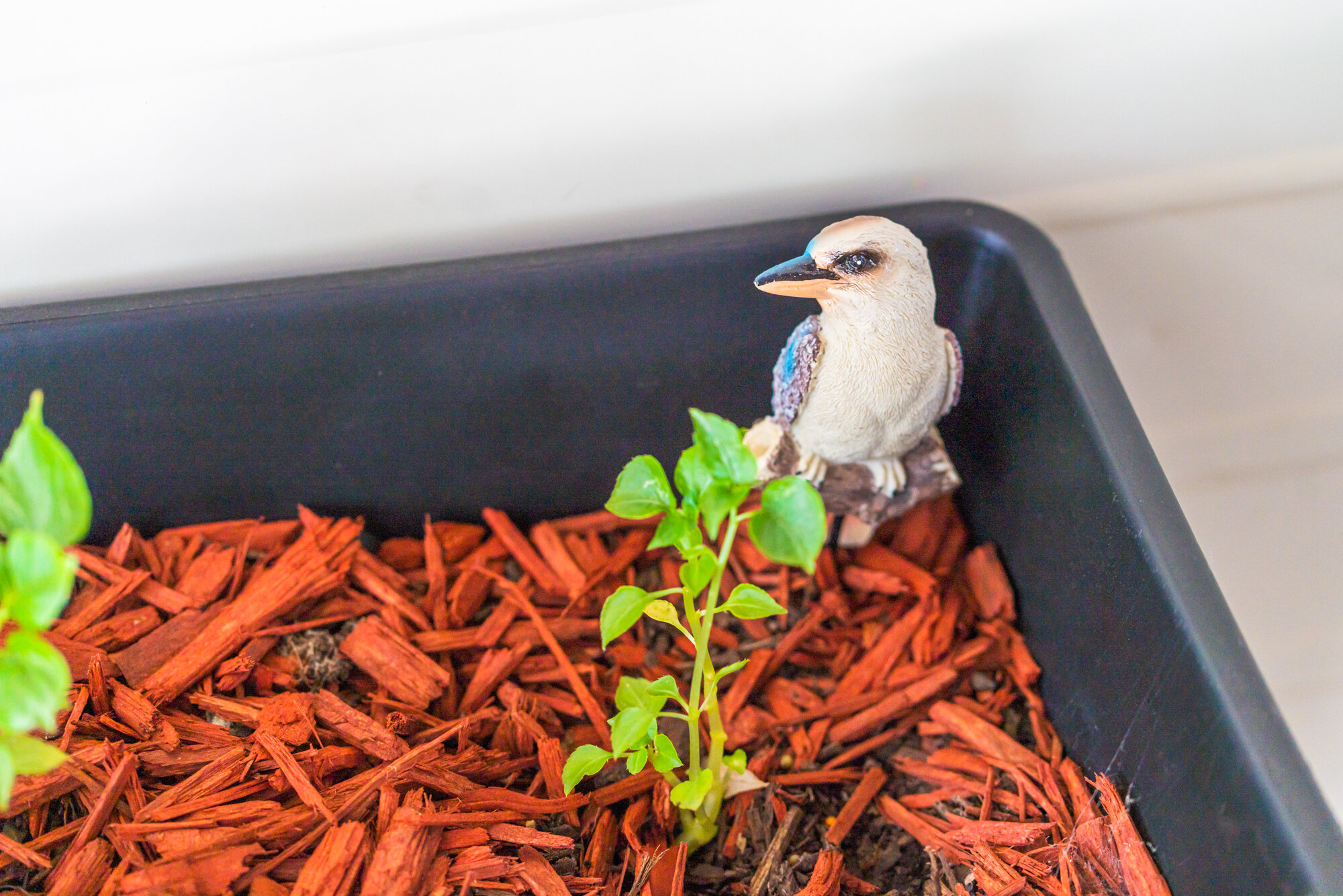 Gallery — Deni Golf Resort | Motel Accommodation in Deniliquin