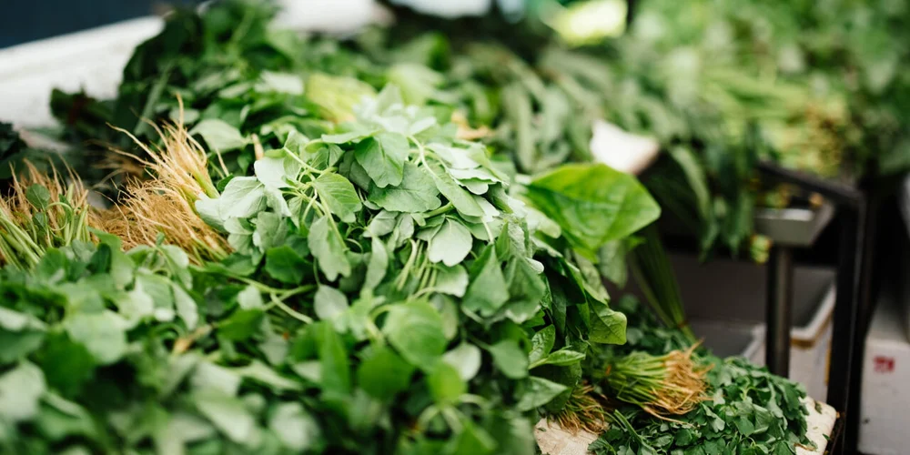 The Definitive Food Costing Guide: Template + Formula — Galley Solutions