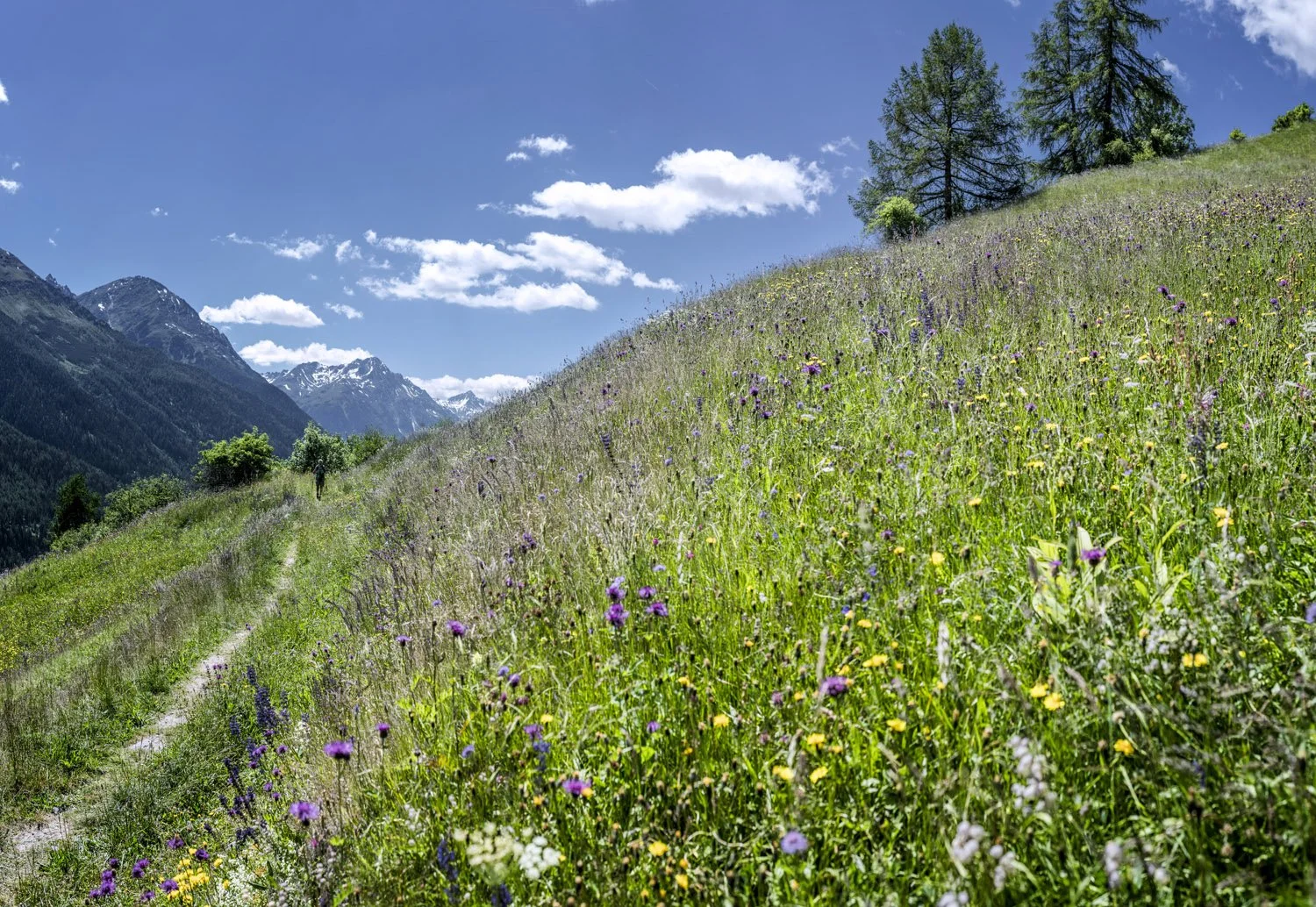 Excursies — Hotel Val Sinestra