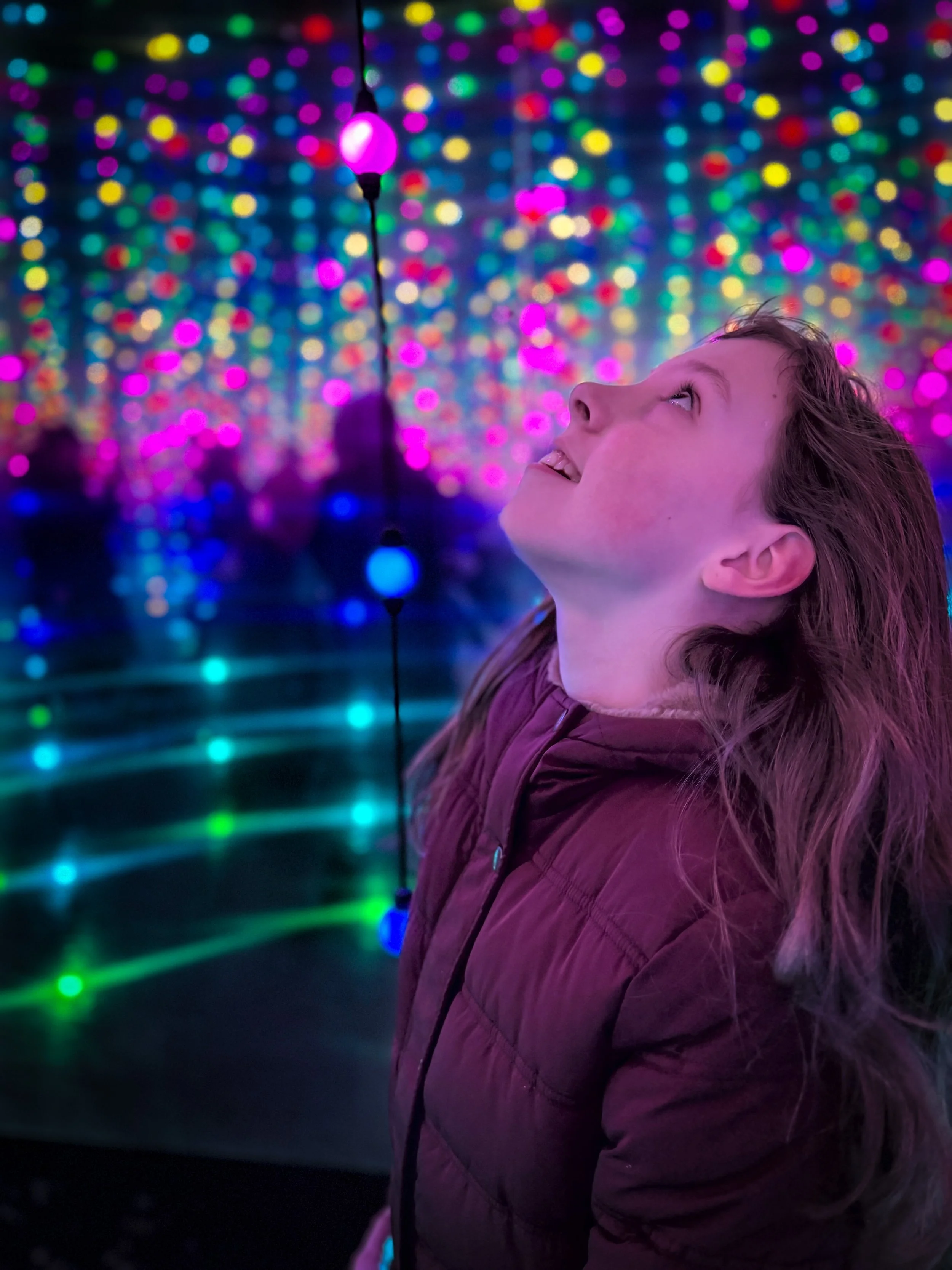 The Reluctant Explorers: Yorkshire Walking With Kids — Christmas Events ...