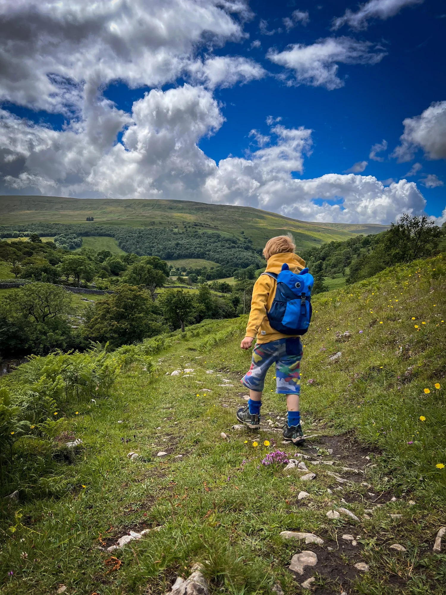 The Reluctant Explorers: Yorkshire Walking With Kids — Cray Gill Waterfalls