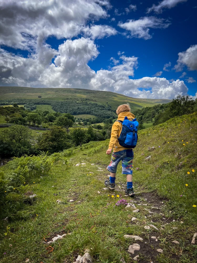 The Reluctant Explorers: Yorkshire Walking With Kids — Cray Gill Waterfalls