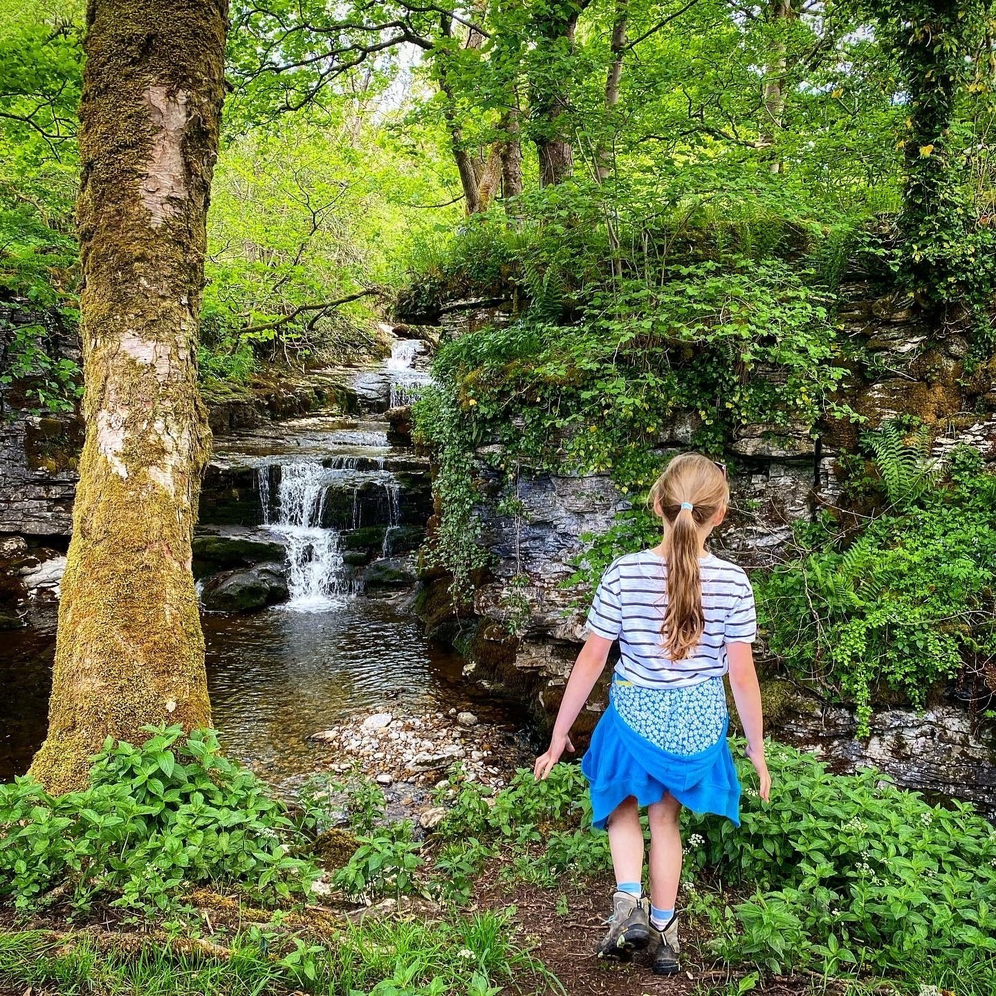 The Reluctant Explorers: Yorkshire Walking With Kids — Cray Gill Waterfalls