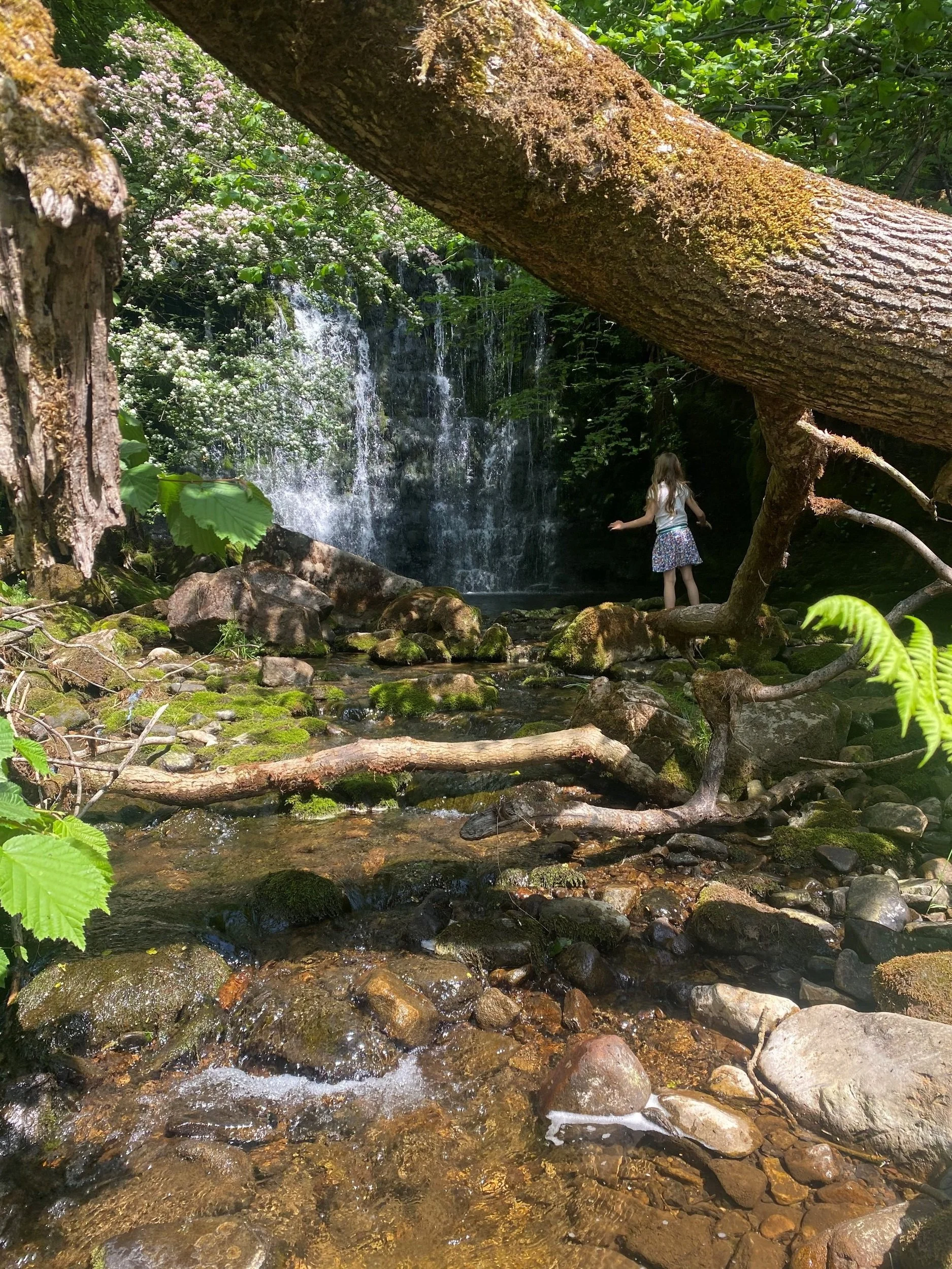 The Reluctant Explorers: Yorkshire Walking With Kids — Hebden Beck ...