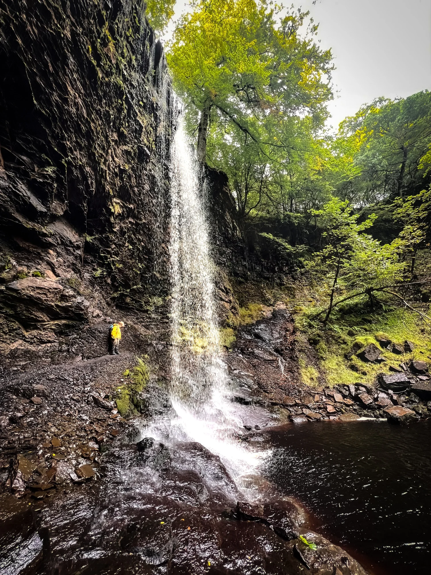 The Reluctant Explorers: Yorkshire Walking With Kids — Mill Gill and ...