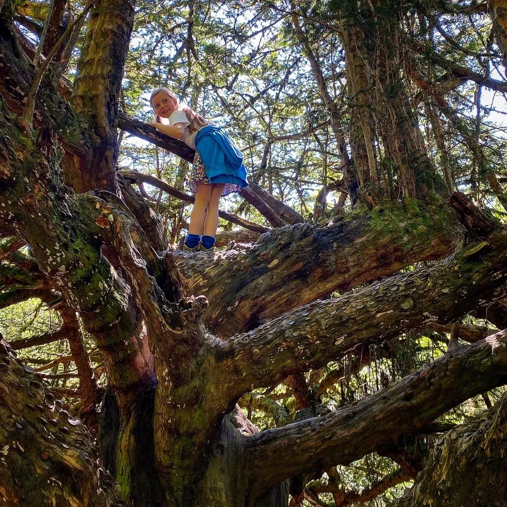 The Reluctant Explorers: Yorkshire Walking With Kids — Gaping Gill ...