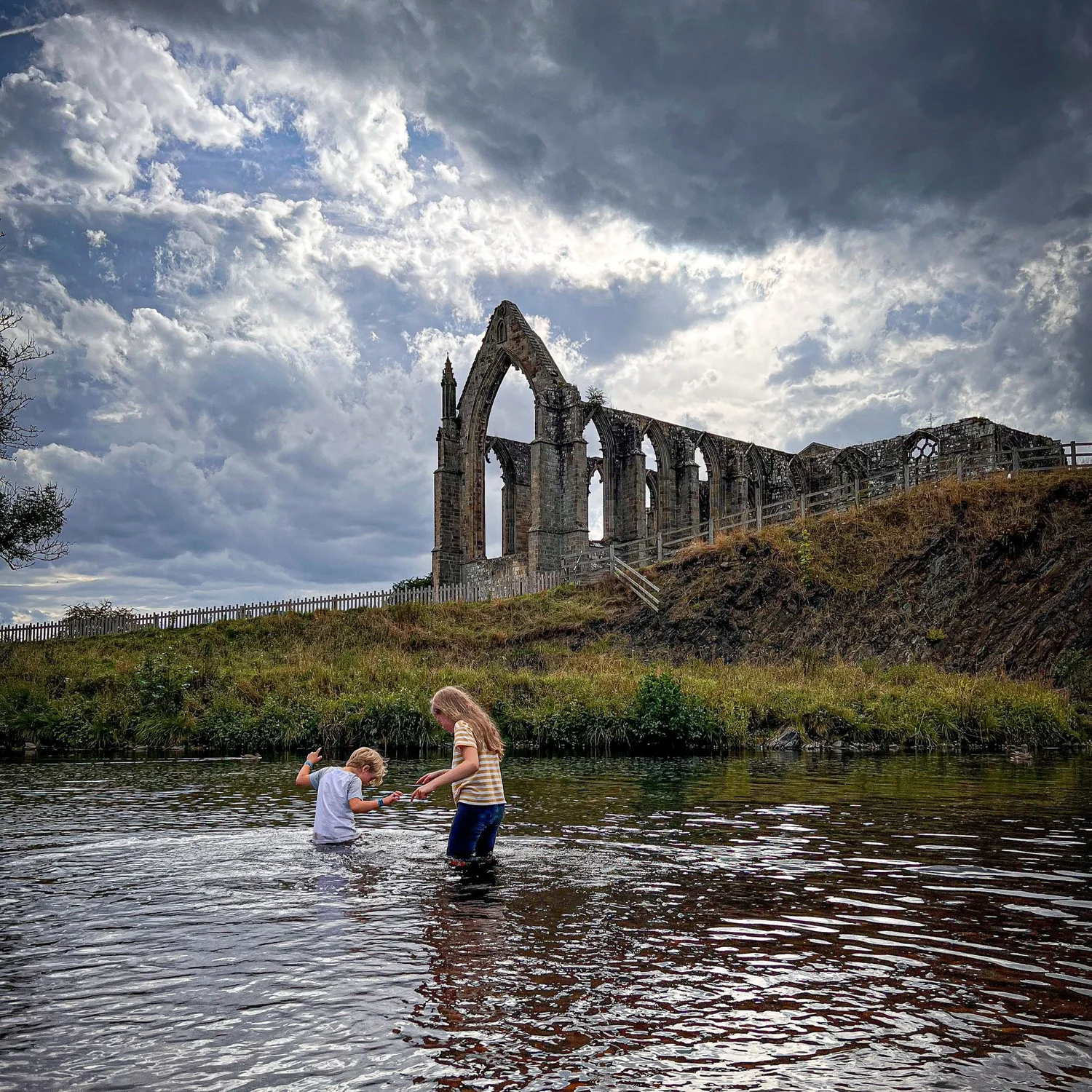 How to do the 1,000 Hours Outside Challenge — The Reluctant Explorers ...