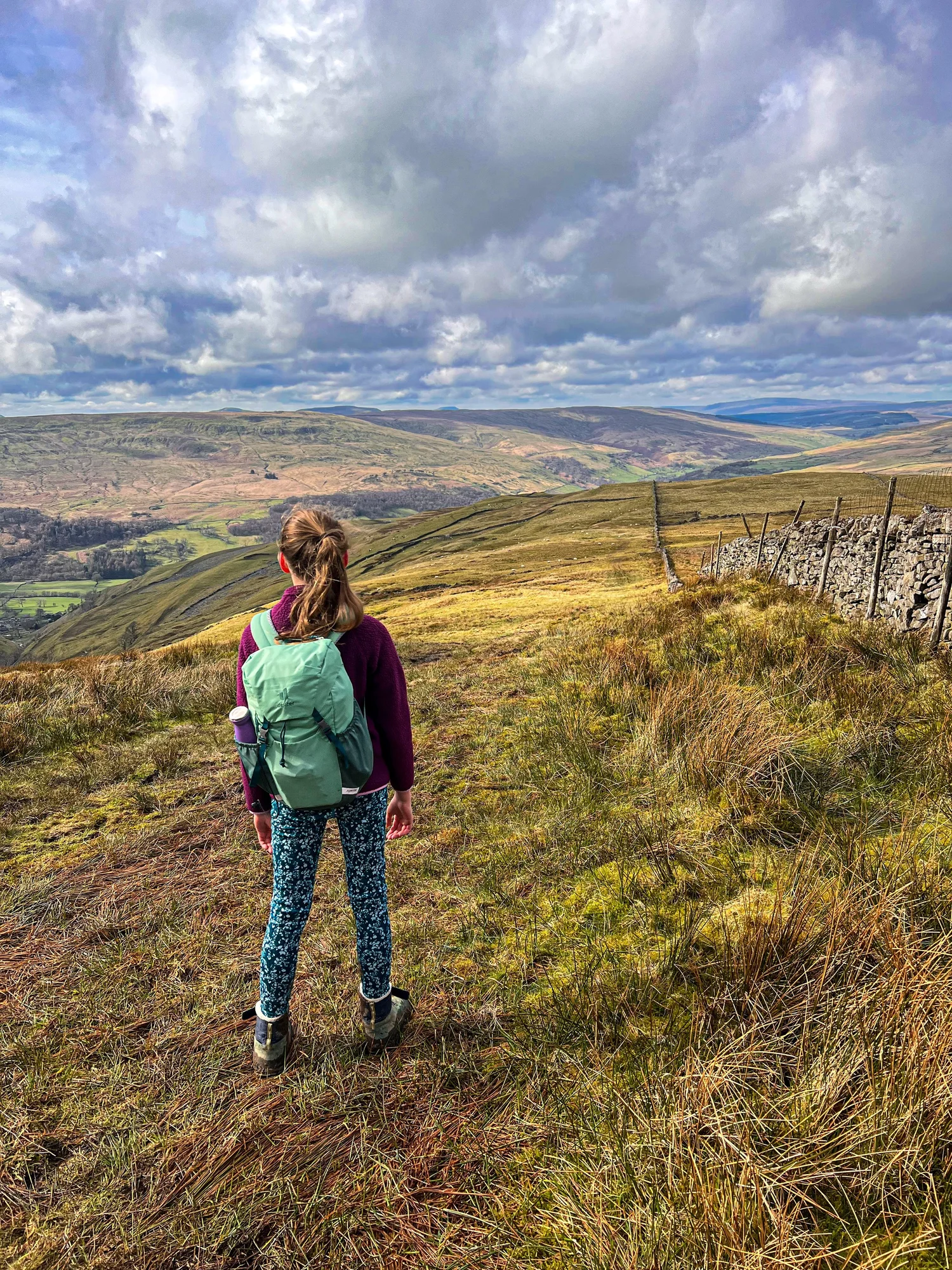 The Reluctant Explorers: Yorkshire Walking With Kids — Buckden Pike Walk