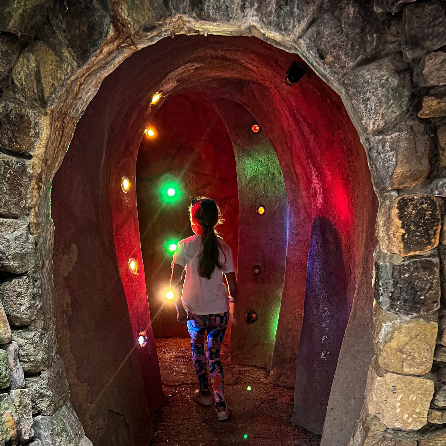 The Forbidden Corner Guide: All You Need to Know — The Reluctant ...