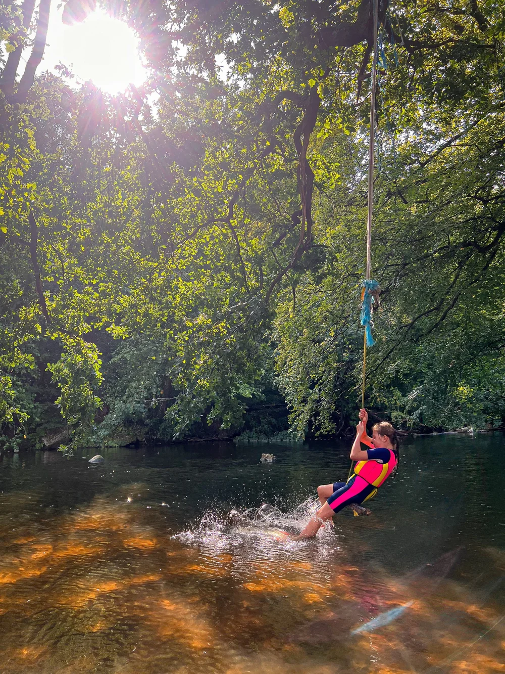 The Reluctant Explorers: Yorkshire Walking With Kids — Nidd Gorge Woods ...