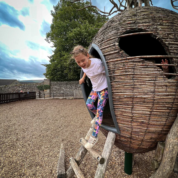 The Forbidden Corner Guide: All You Need to Know — The Reluctant ...