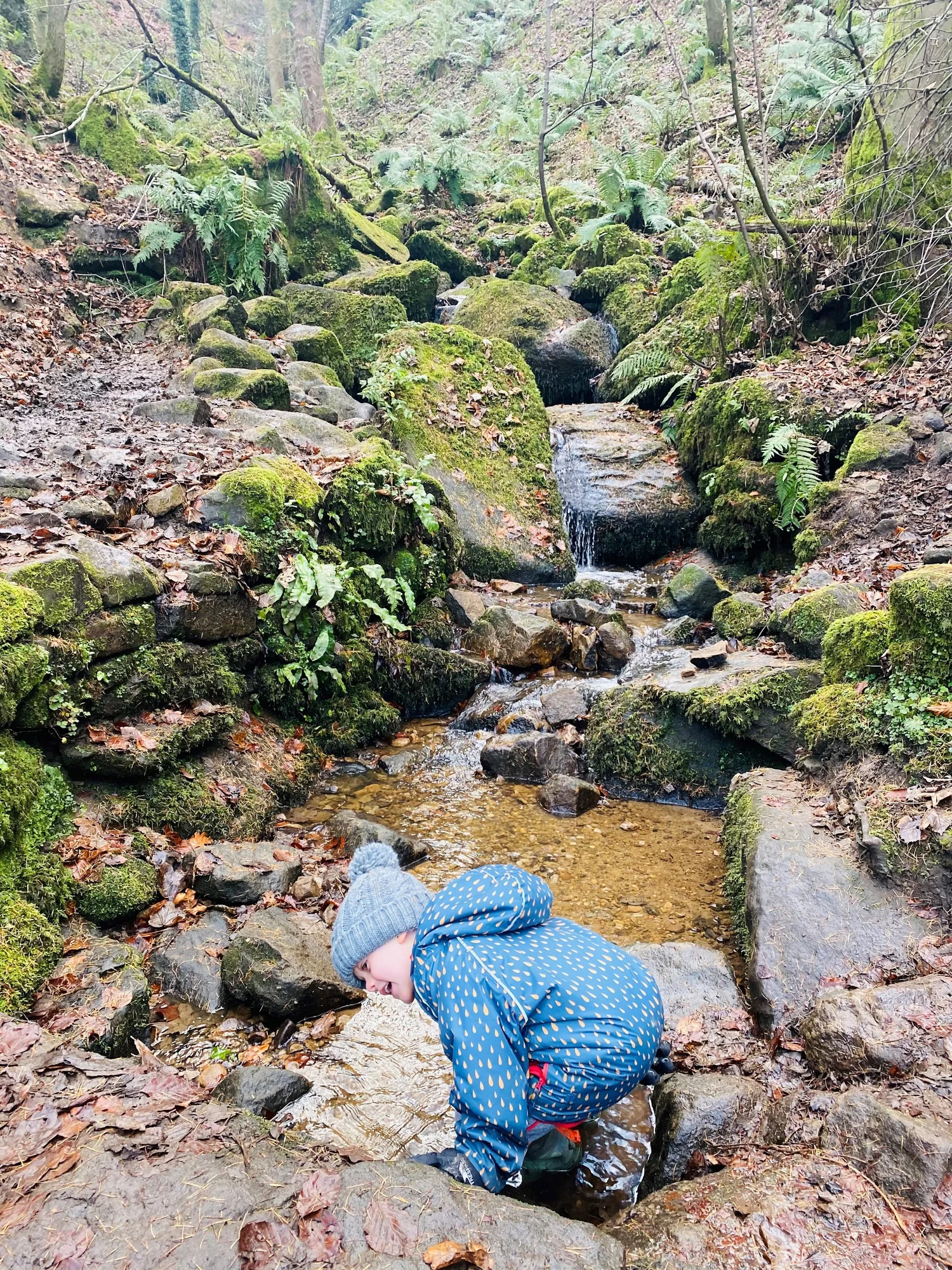 The Reluctant Explorers: Yorkshire Walking With Kids — Chevin Forest Walk