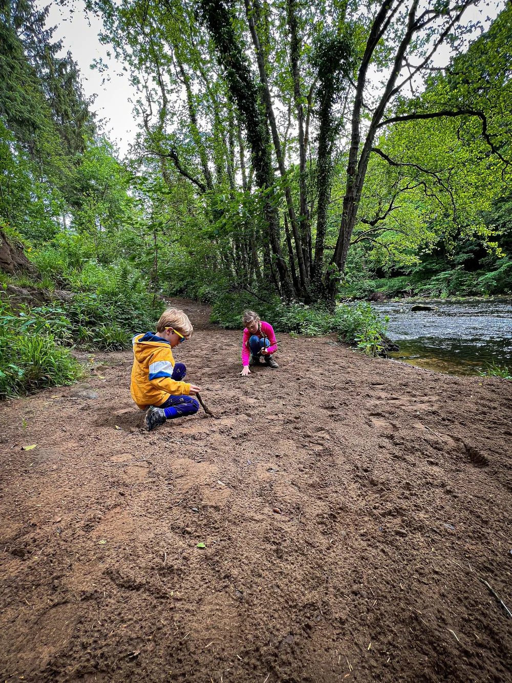 The Reluctant Explorers: Yorkshire Walking With Kids — Nidd Gorge Woods ...
