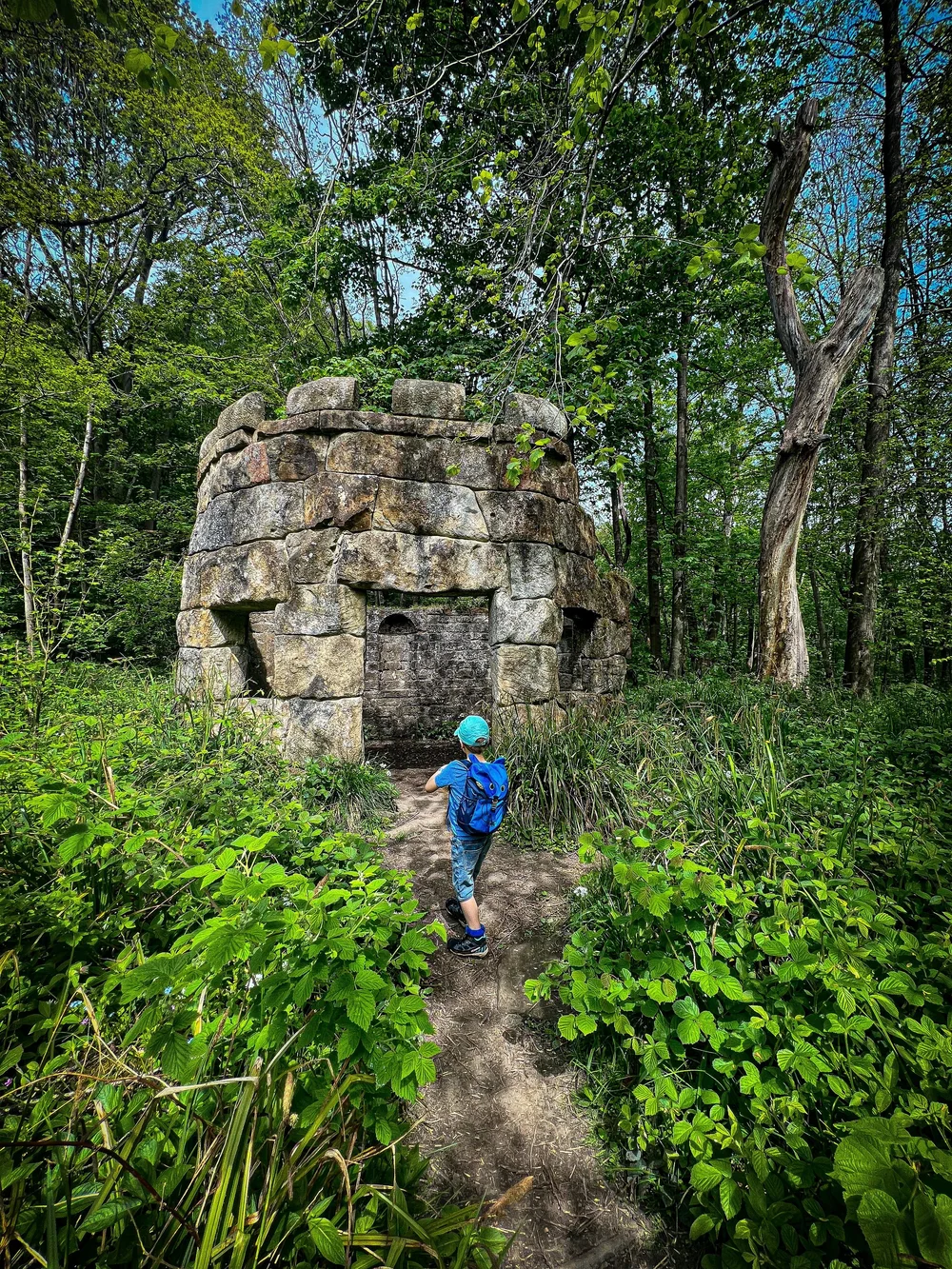 Visiting Hackfall Woods with Kids — The Reluctant Explorers: Yorkshire ...