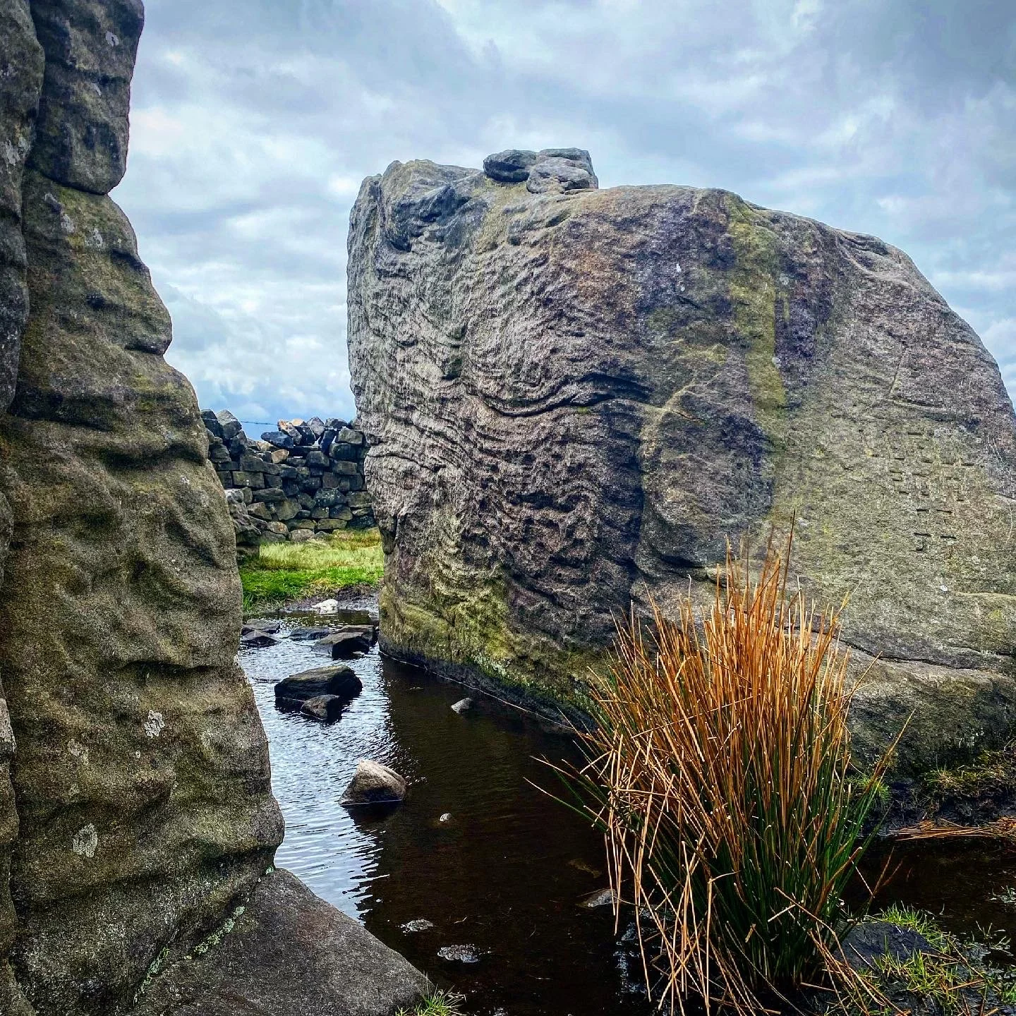 The Reluctant Explorers: Yorkshire Walking With Kids — Ilkley Moor Walk