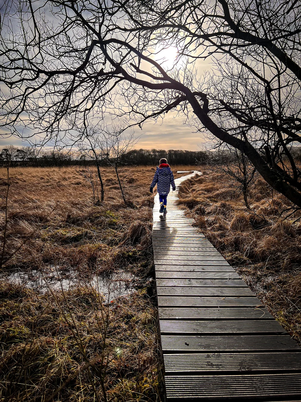 The Reluctant Explorers: Yorkshire Walking With Kids — Malham Tarn