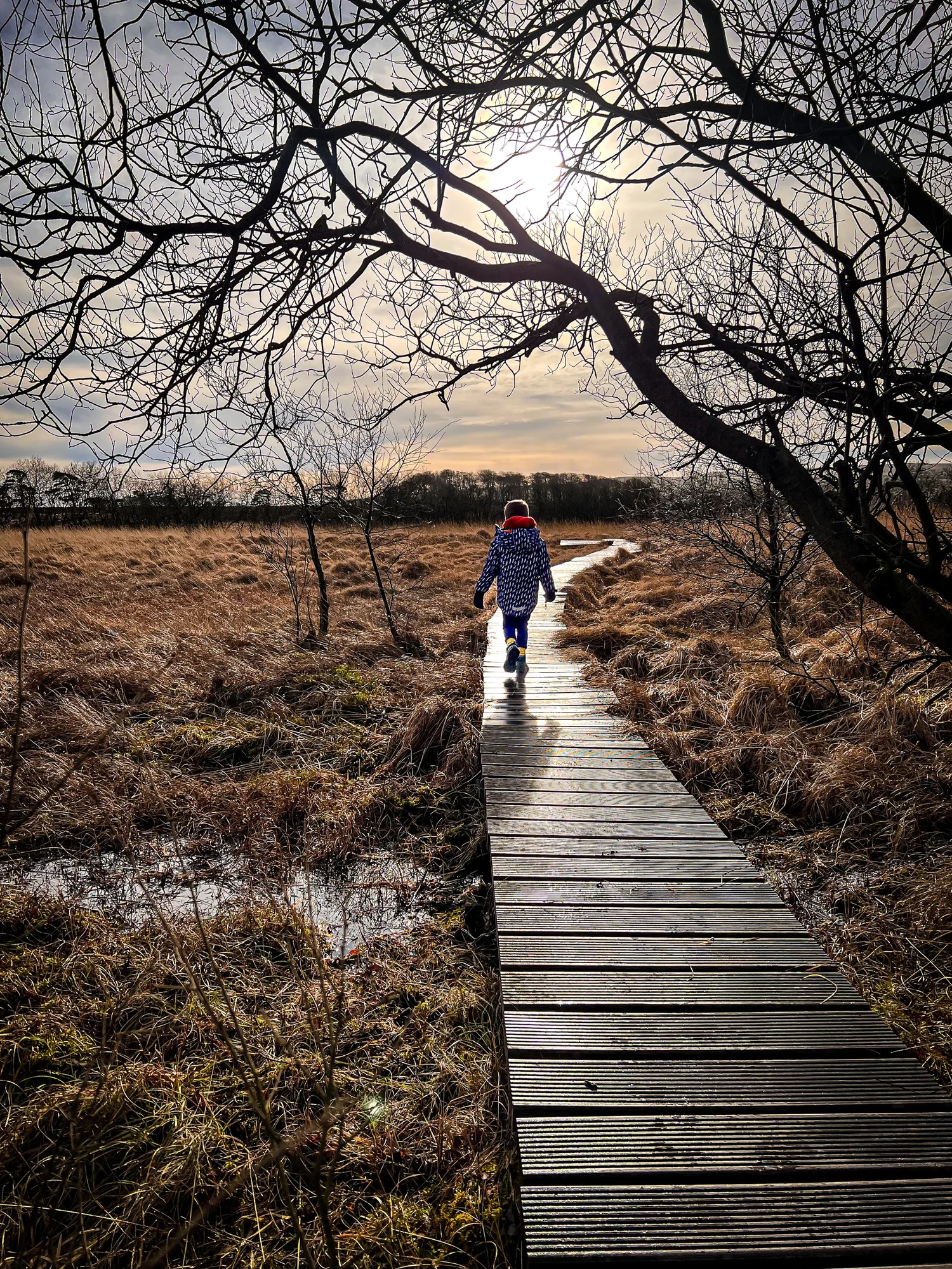 The Reluctant Explorers: Yorkshire Walking With Kids — Malham Tarn