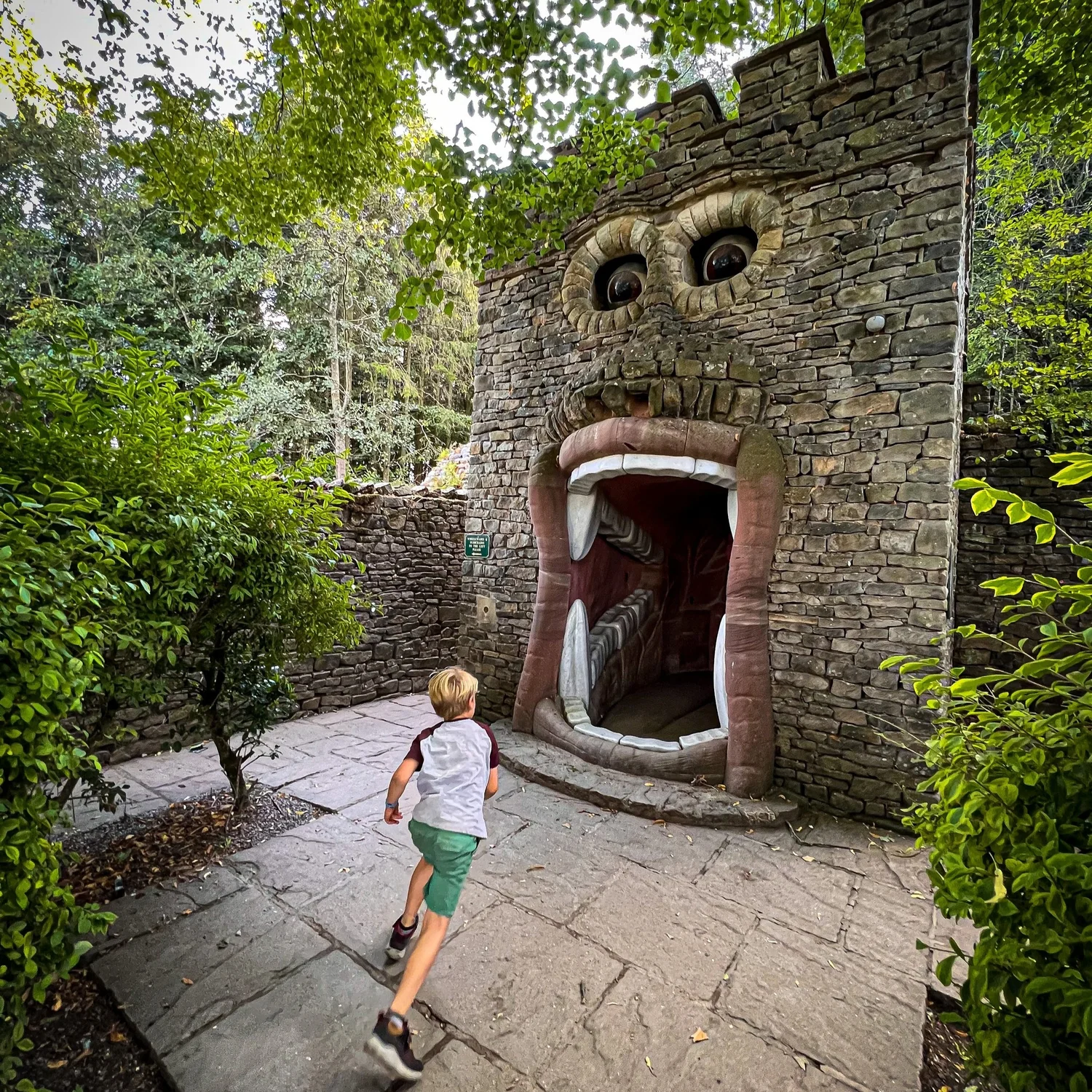 The Forbidden Corner Guide: All You Need to Know — The Reluctant ...