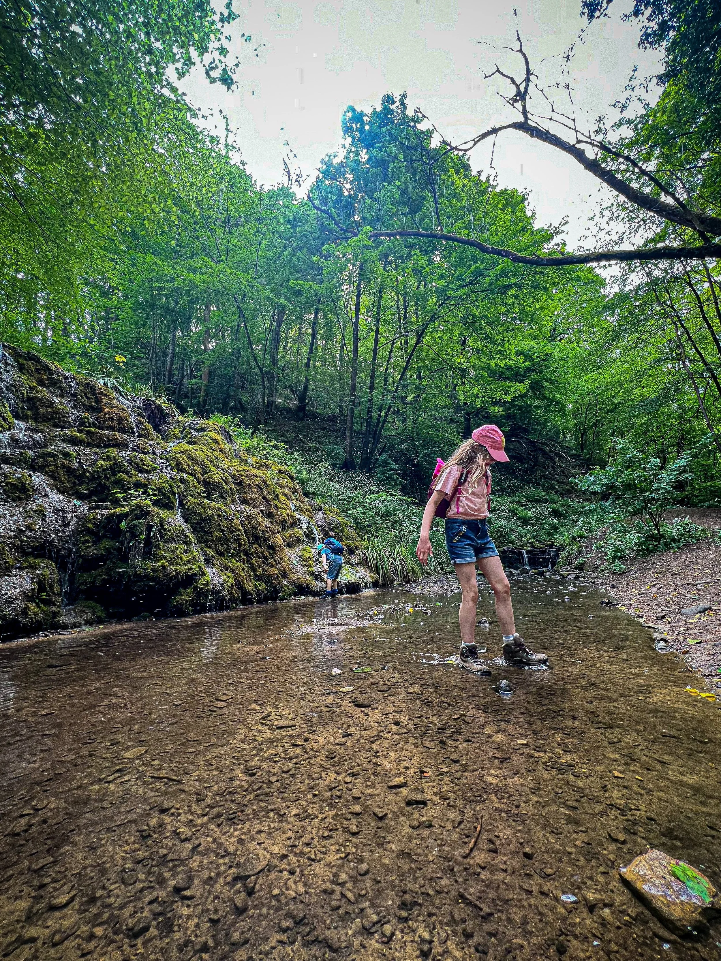 Visiting Hackfall Woods with Kids — The Reluctant Explorers: Yorkshire ...