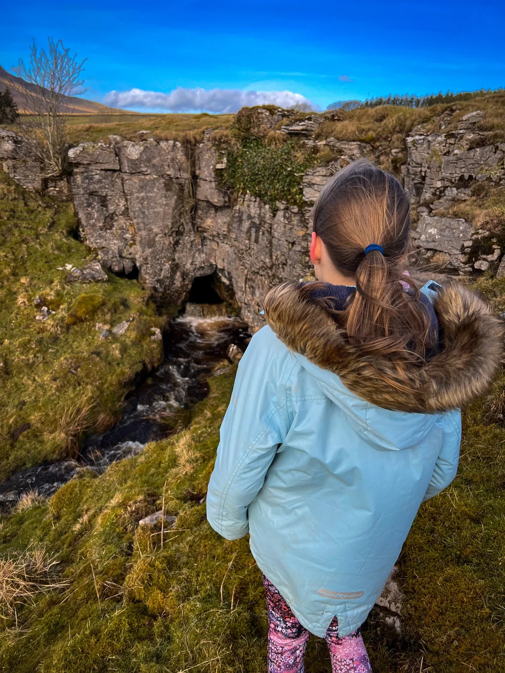 The Reluctant Explorers: Yorkshire Walking With Kids — Hell Gill Circular