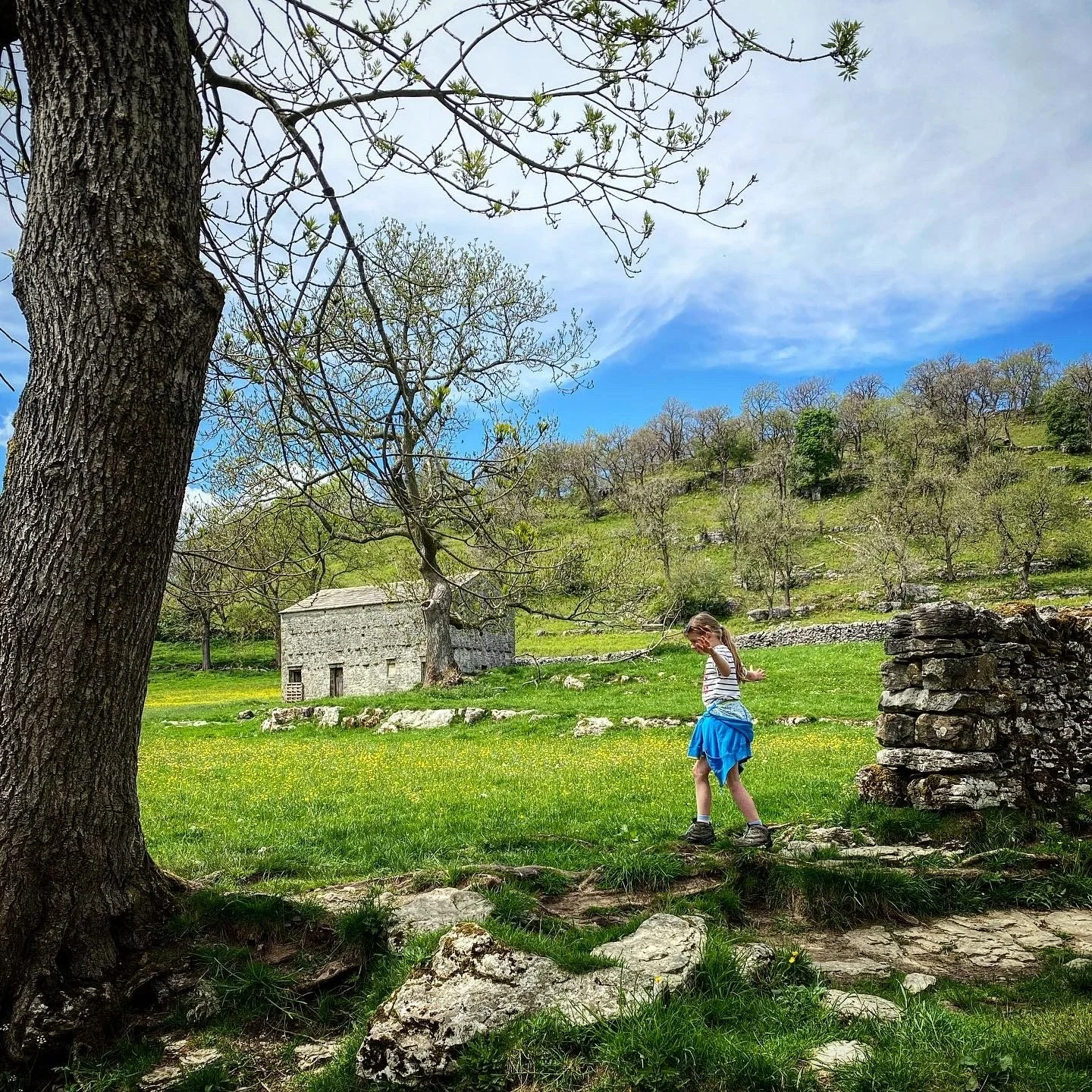 The Reluctant Explorers: Yorkshire Walking With Kids — Cray Gill Waterfalls