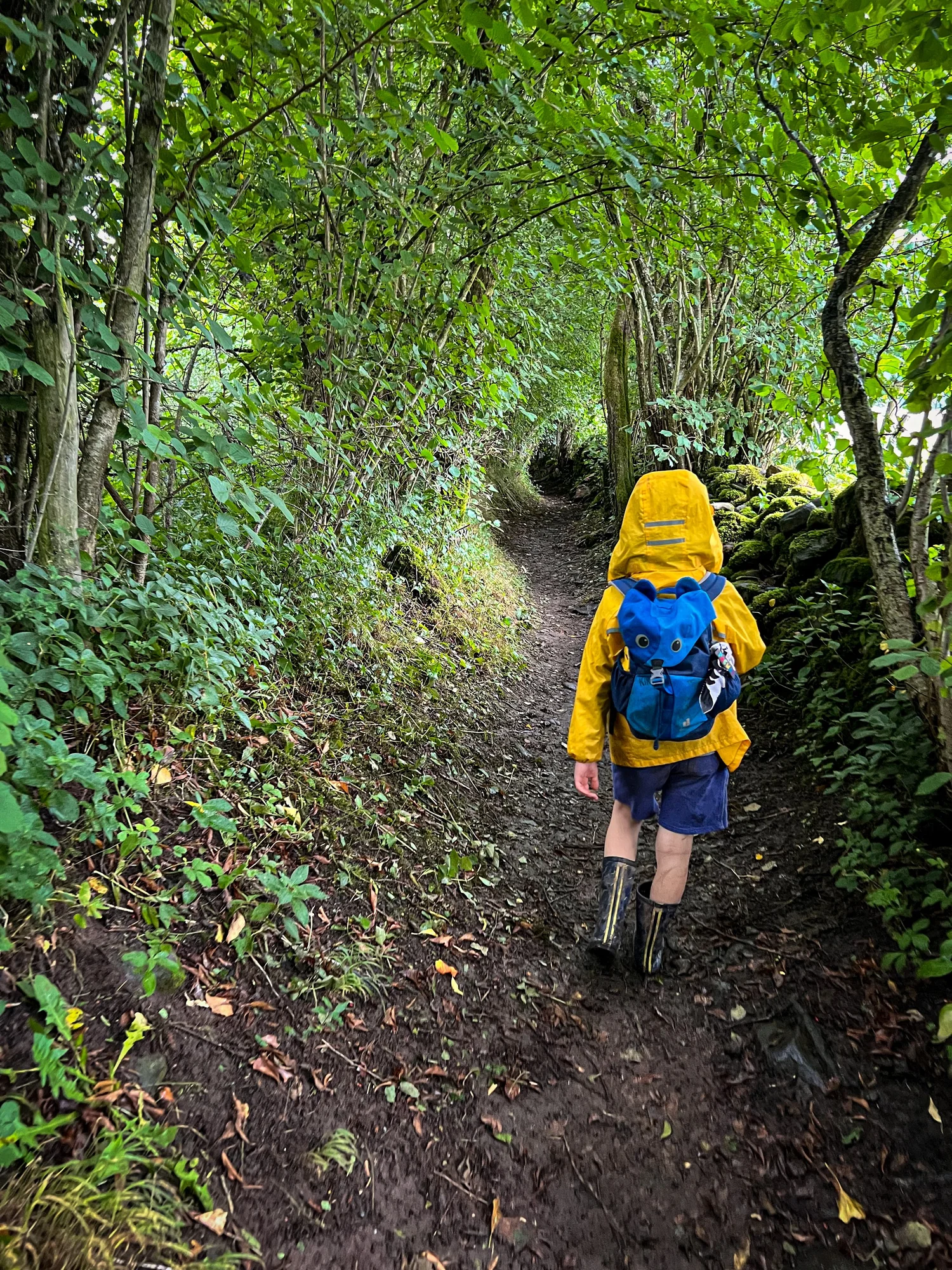 The Reluctant Explorers: Yorkshire Walking With Kids — Stenkrith Park ...