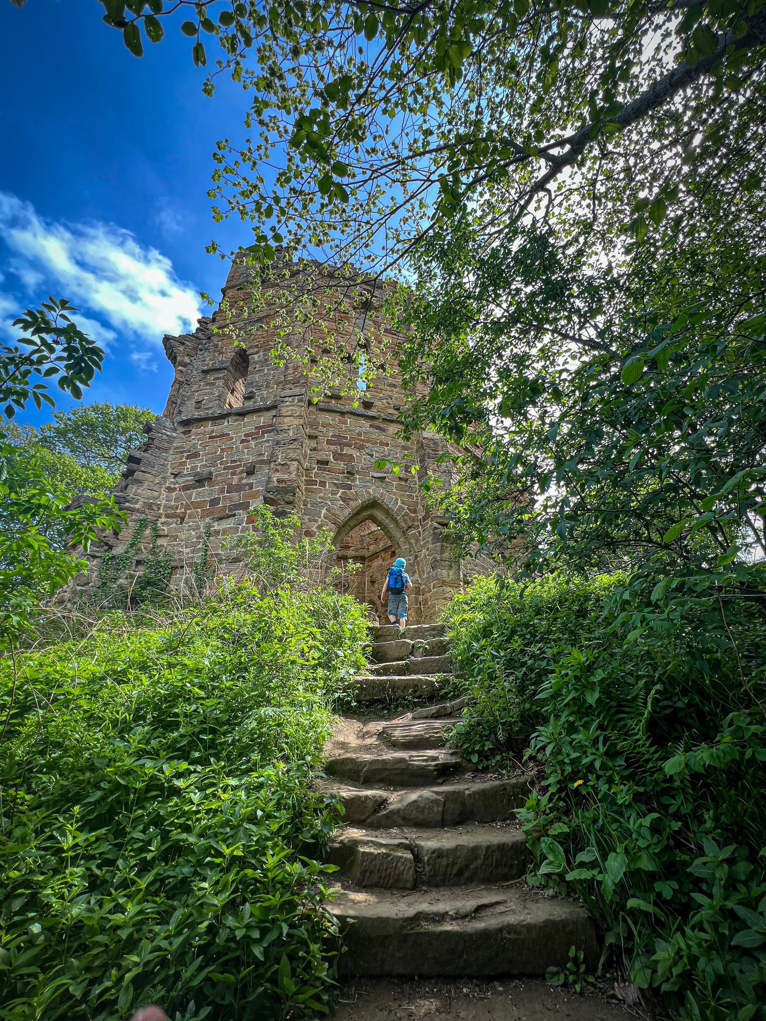 Visiting Hackfall Woods with Kids — The Reluctant Explorers: Yorkshire ...