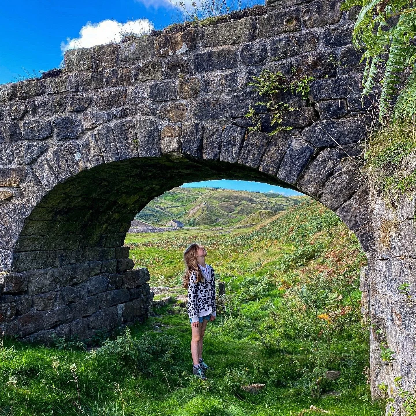 The Reluctant Explorers: Yorkshire Walking With Kids — Greenhow Hill ...