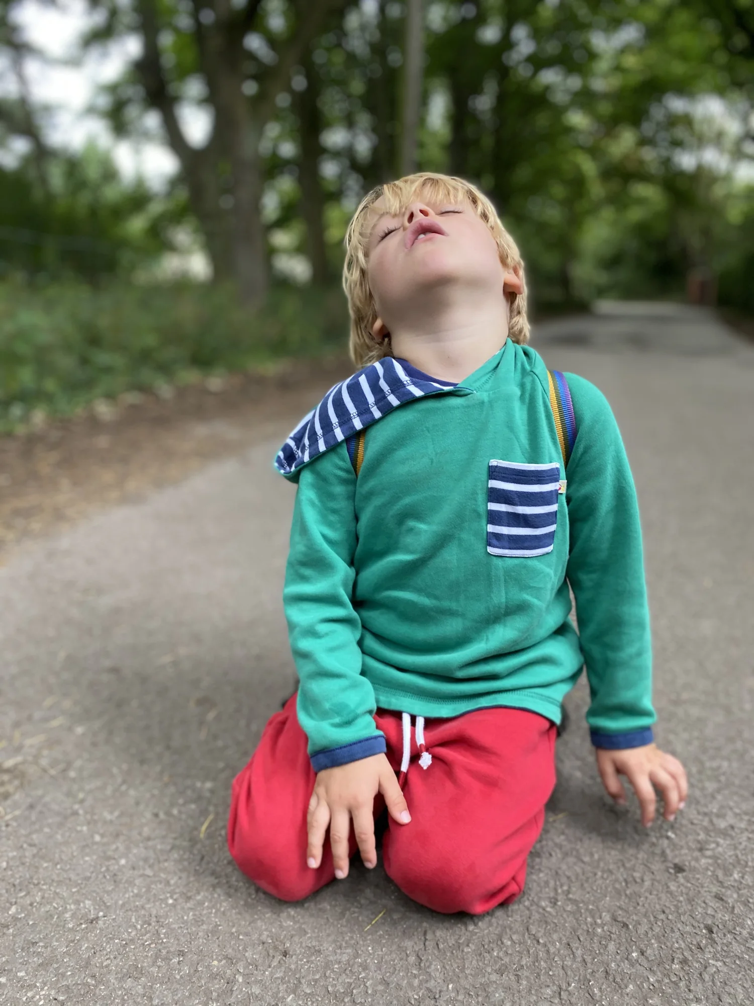 The Ultimate Guide to Walking with Kids — The Reluctant Explorers ...