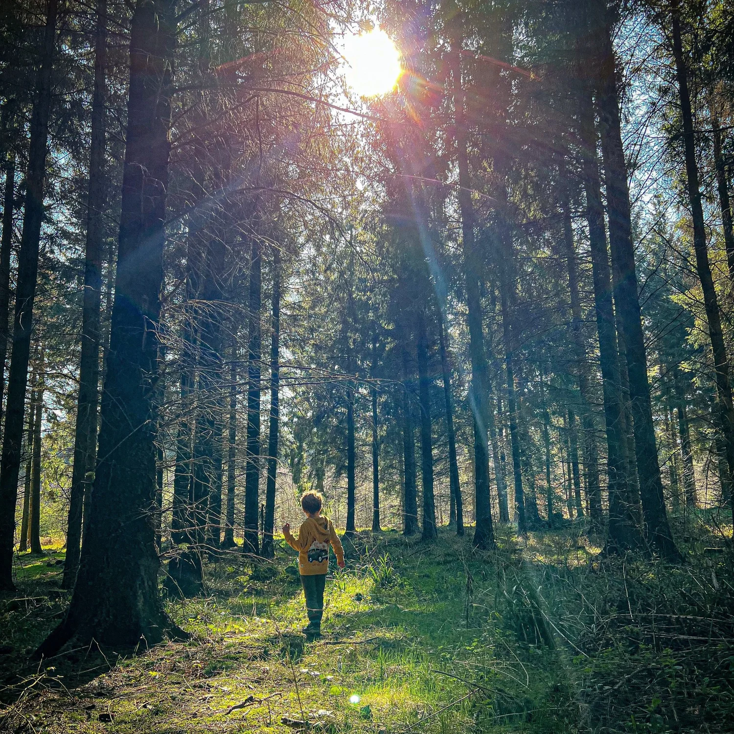 The Reluctant Explorers: Yorkshire Walking With Kids — Fewston ...