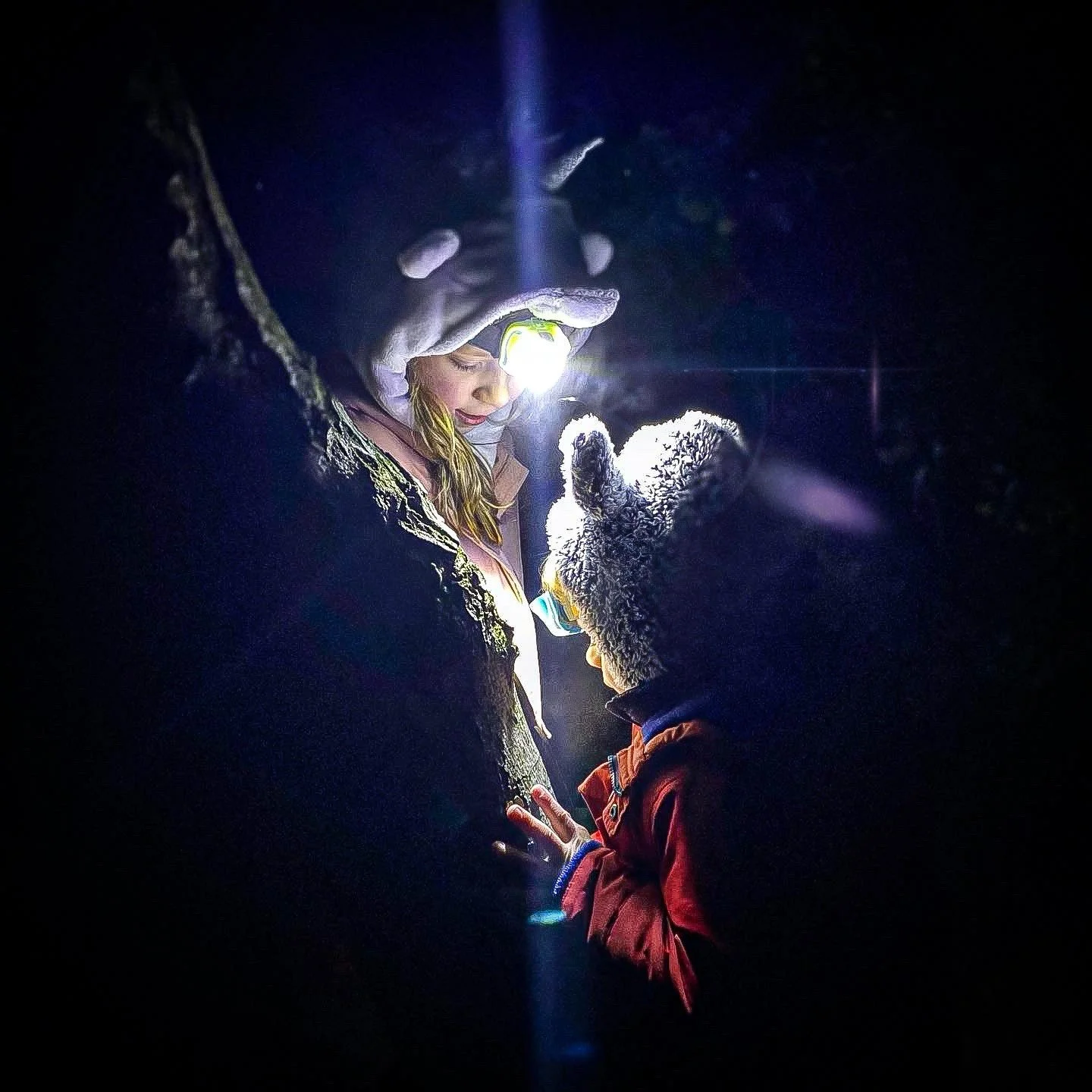 The Reluctant Explorers: Yorkshire Walking With Kids — Dark Skies ...