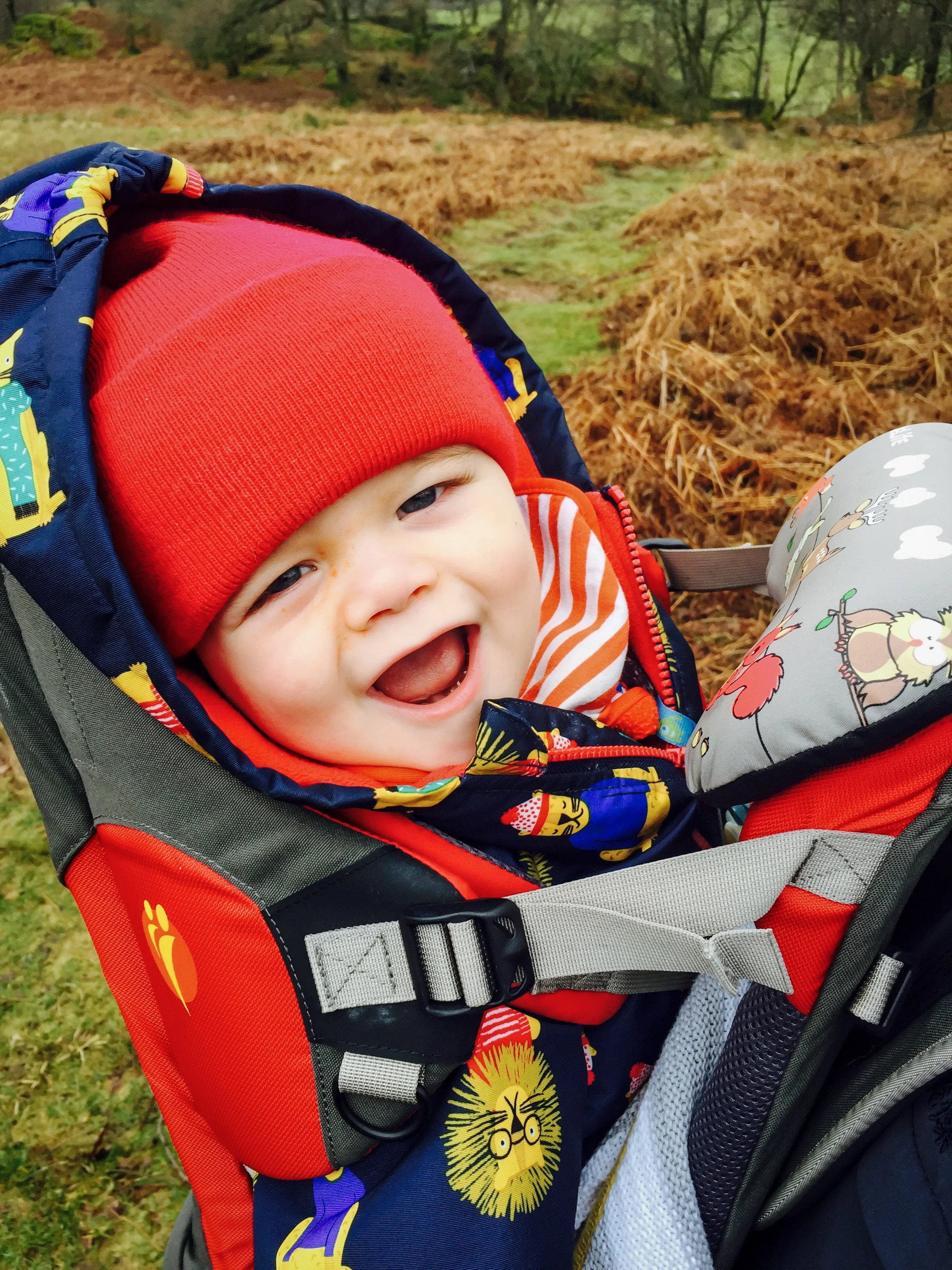 The Ultimate Guide to Walking with Kids — The Reluctant Explorers ...