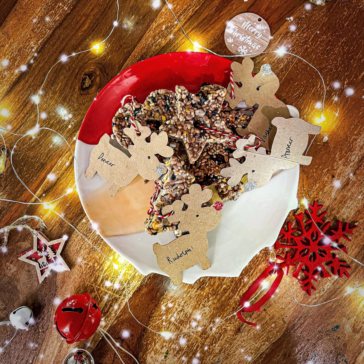 5 of the BEST Christmas Nature Crafts — The Reluctant Explorers ...