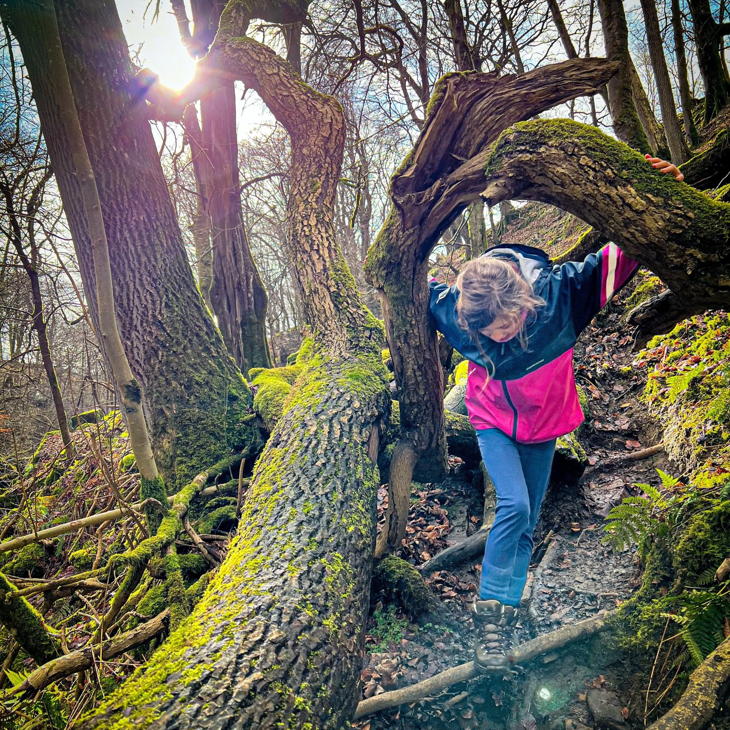 The Reluctant Explorers: Yorkshire Walking With Kids — Mill Gill and ...