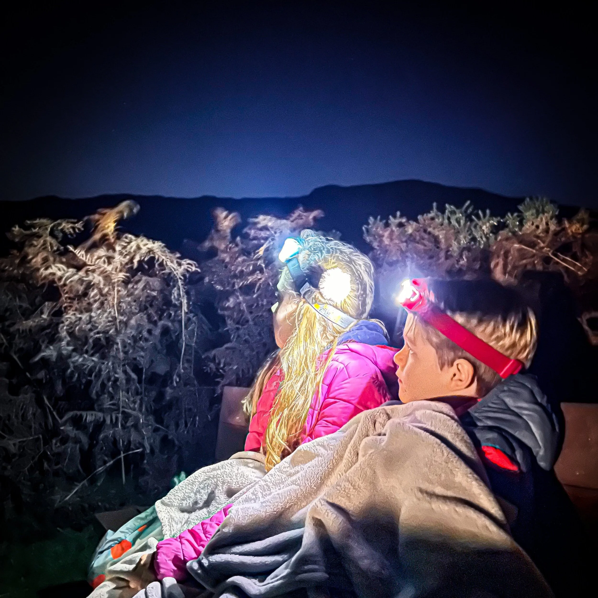 How to do the 1,000 Hours Outside Challenge — The Reluctant Explorers ...