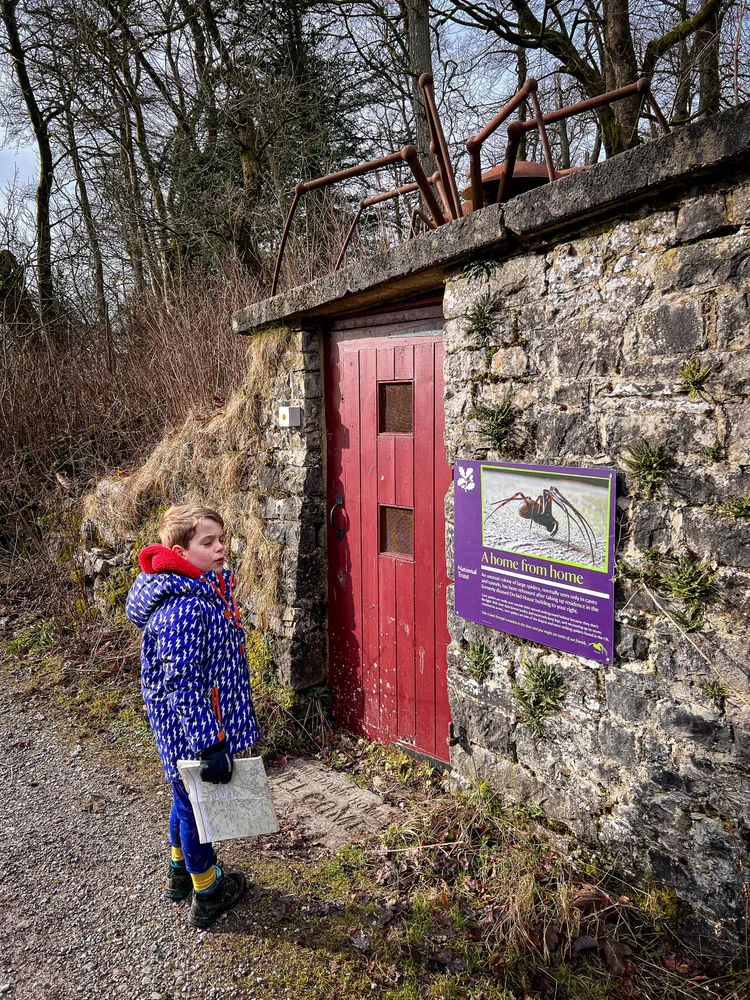 The Reluctant Explorers: Yorkshire Walking With Kids — Malham Tarn