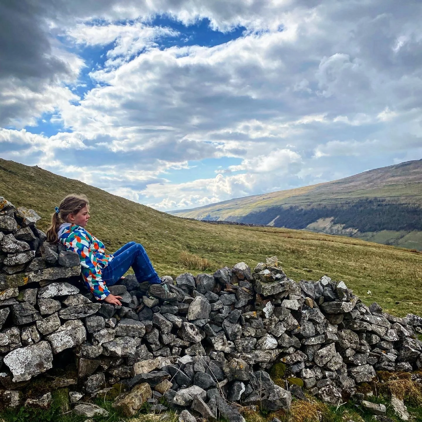 The Reluctant Explorers: Yorkshire Walking With Kids — Buckden Pike Walk