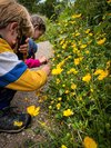 The Reluctant Explorers: Yorkshire Walking With Kids — Nidd Gorge Woods ...