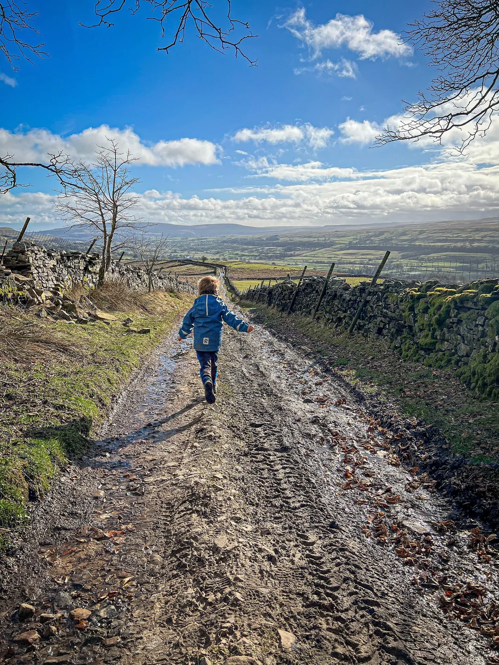 The Reluctant Explorers: Yorkshire Walking With Kids — Mill Gill and ...