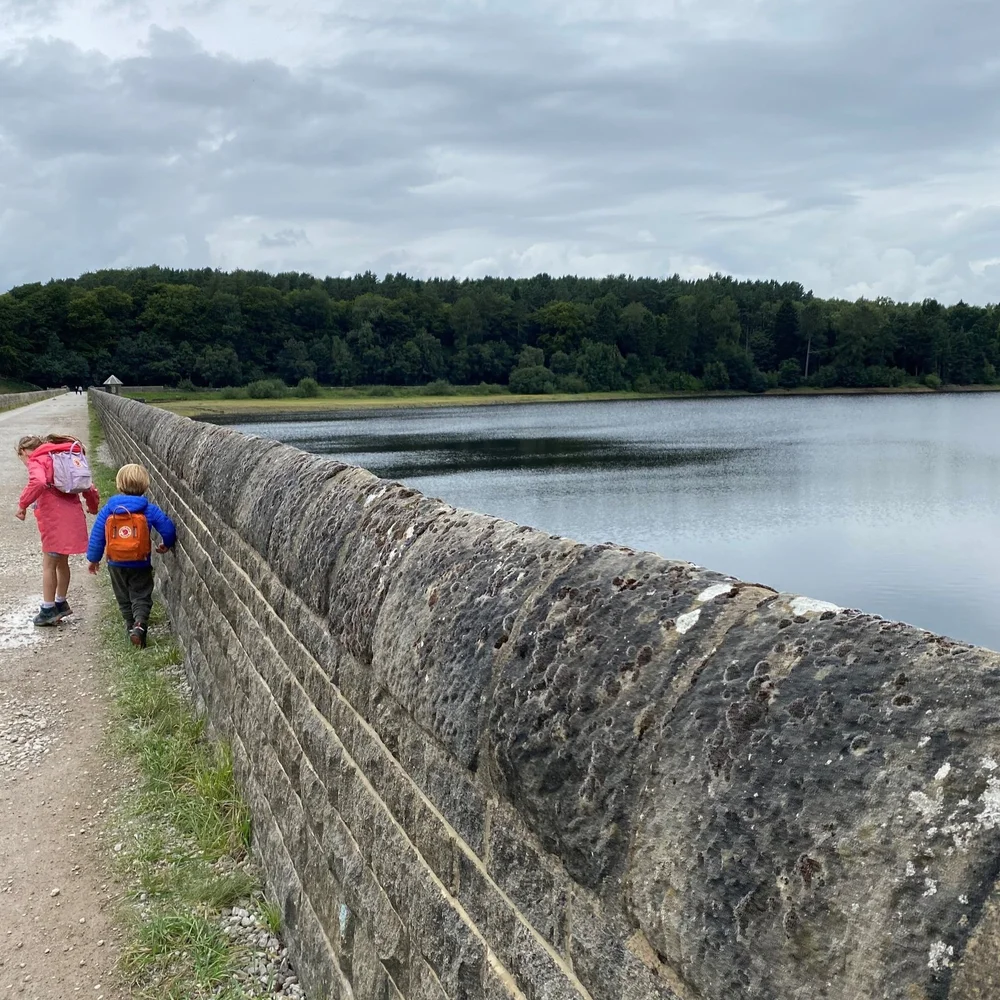 The Reluctant Explorers: Yorkshire Walking With Kids — Swinsty ...