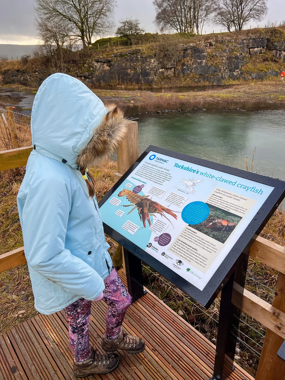 The Reluctant Explorers: Yorkshire Walking With Kids — Threshfield ...