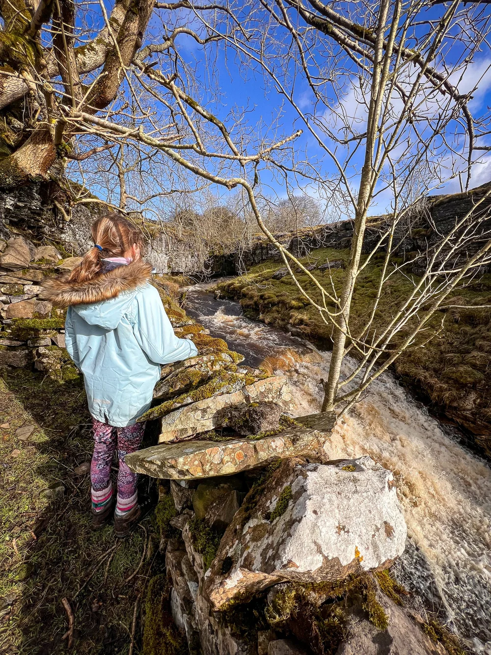 The Reluctant Explorers: Yorkshire Walking With Kids — Hell Gill Circular