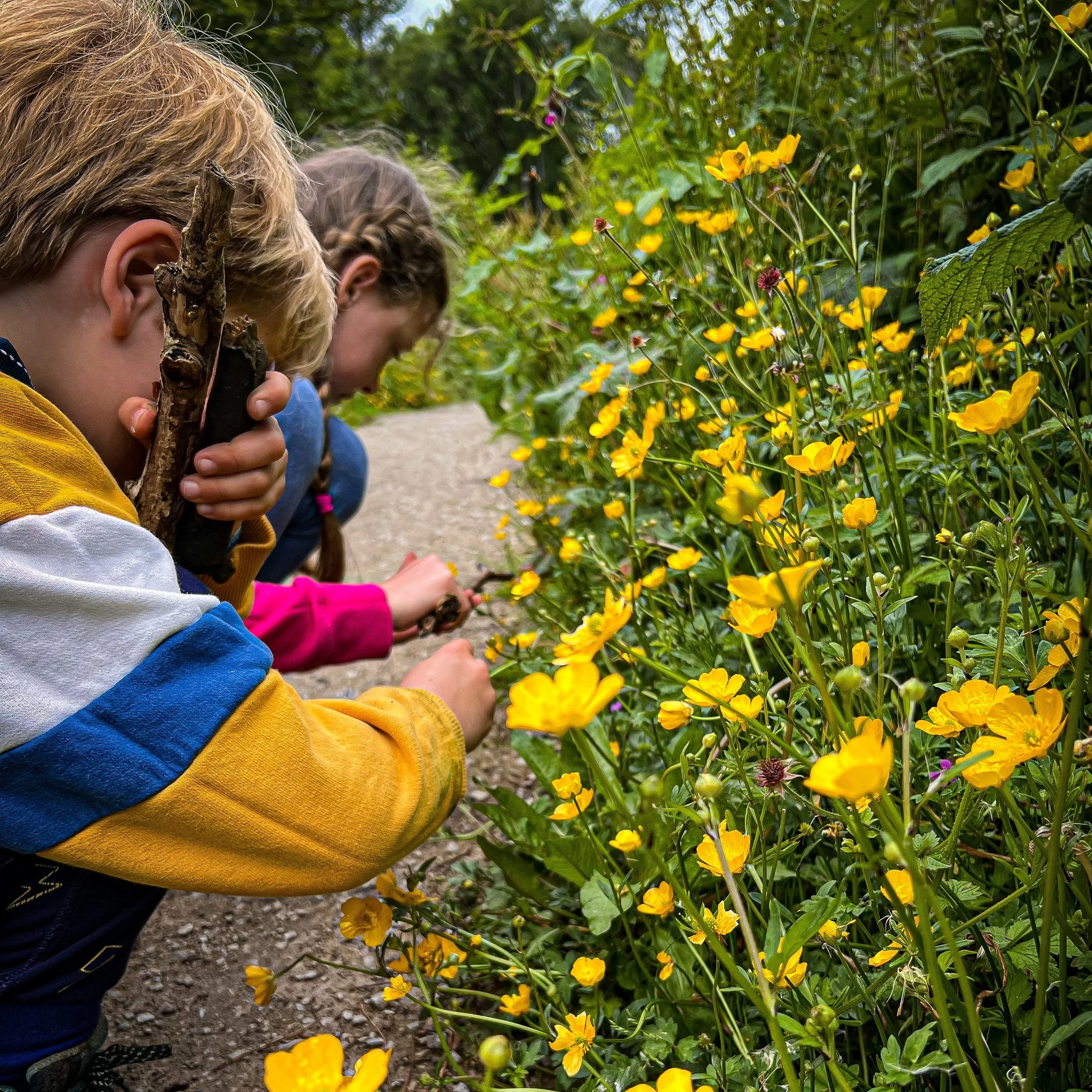 How to do the 1,000 Hours Outside Challenge — The Reluctant Explorers ...