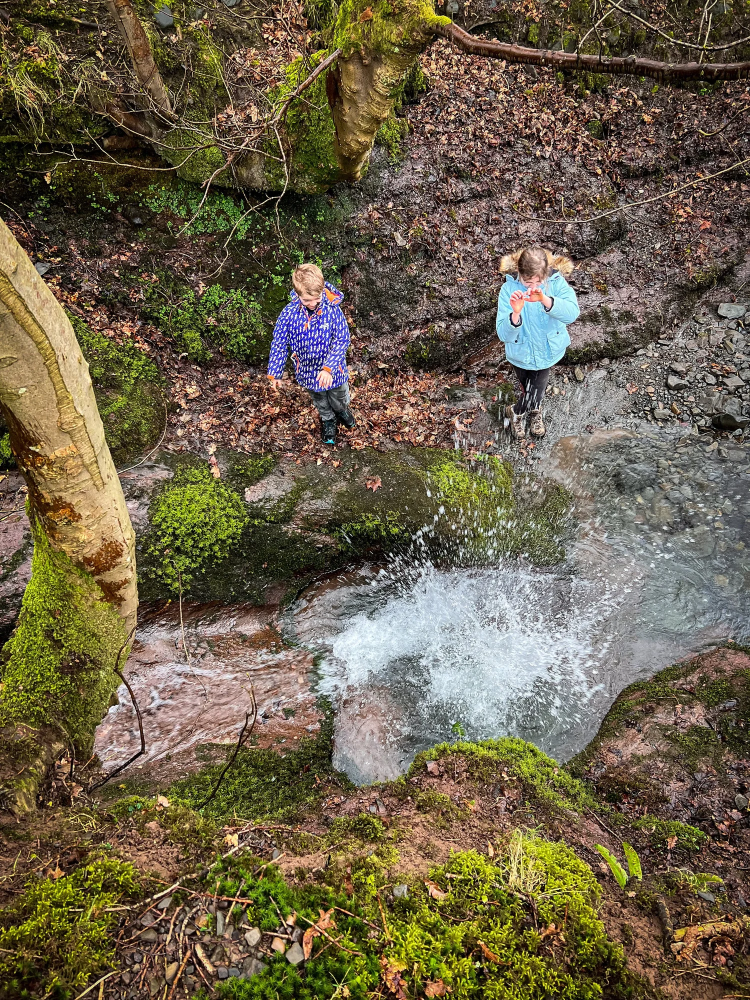The Reluctant Explorers: Yorkshire Walking With Kids — Settlebeck Gill ...